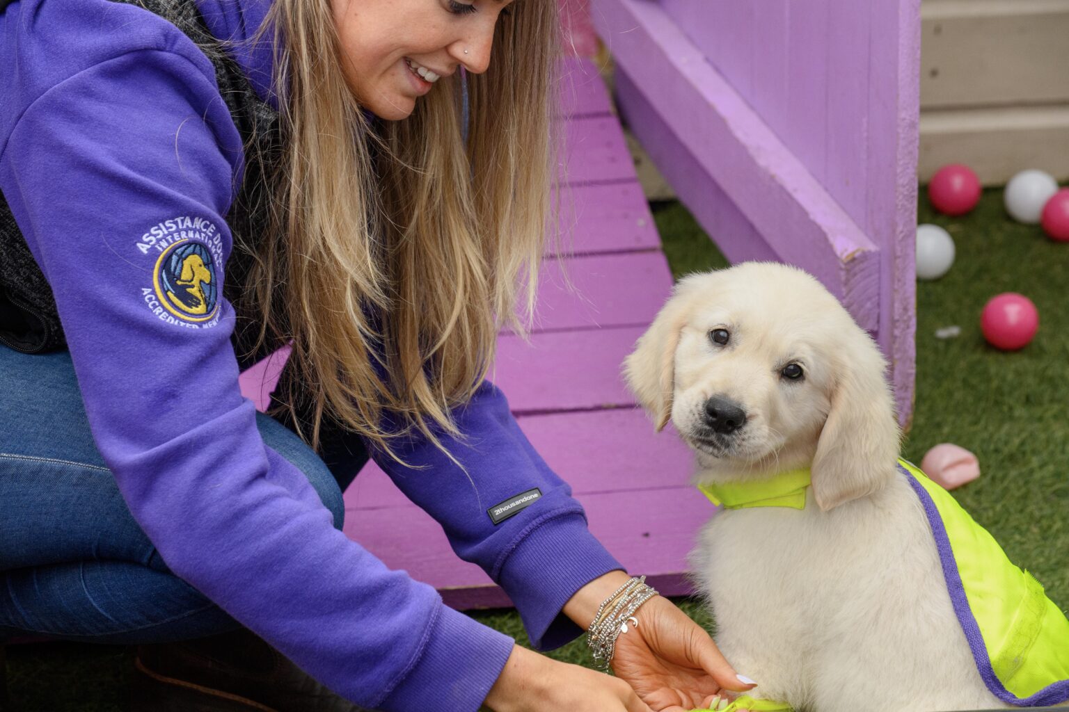 Irish Dogs For The Disabled